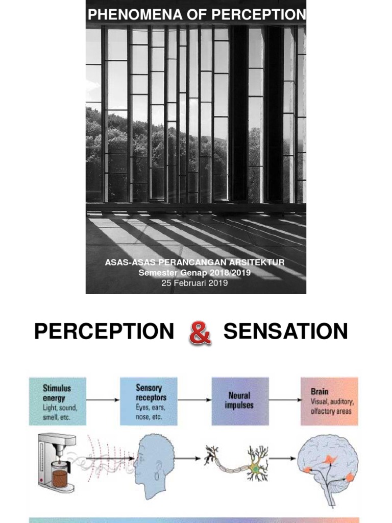 Phenomena of Perception 2019 | PDF | Senses | Odor