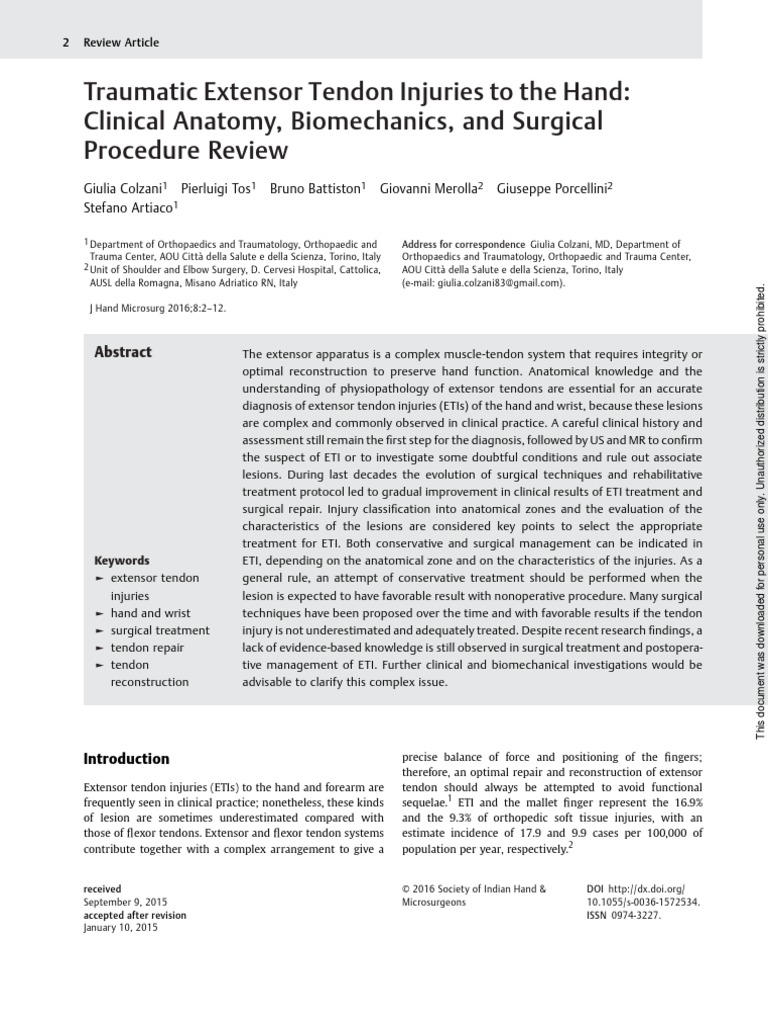 Traumatic Extensor Tendon Injuries To The Hand: Clinical Anatomy ...