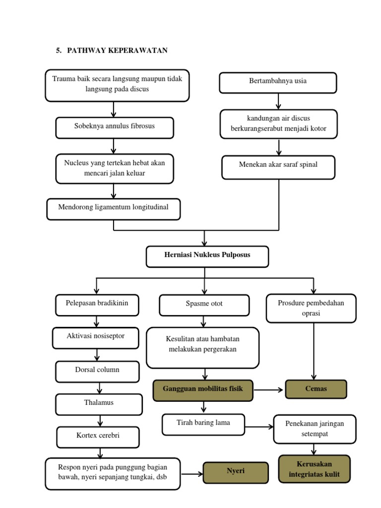 Pathway HNP | PDF