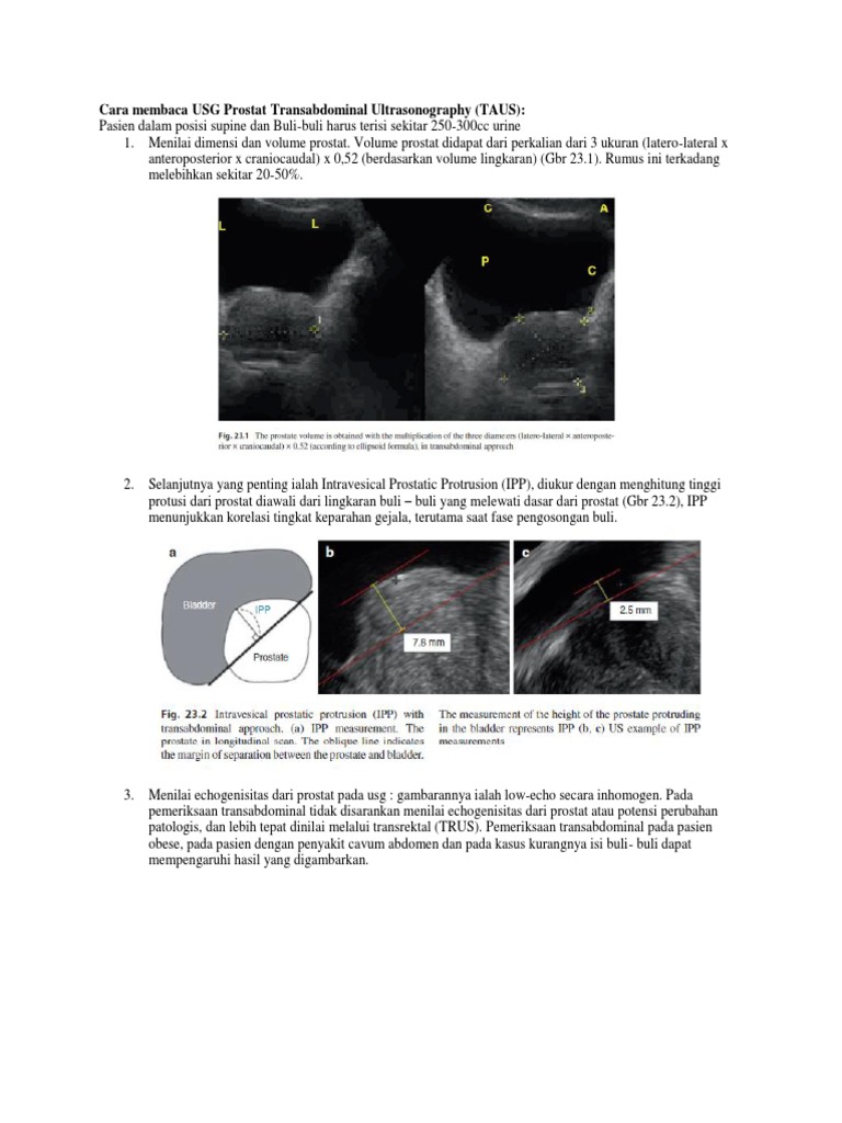 Cara Membaca USG Prostat Transabdominal Ultrasonography | PDF ...