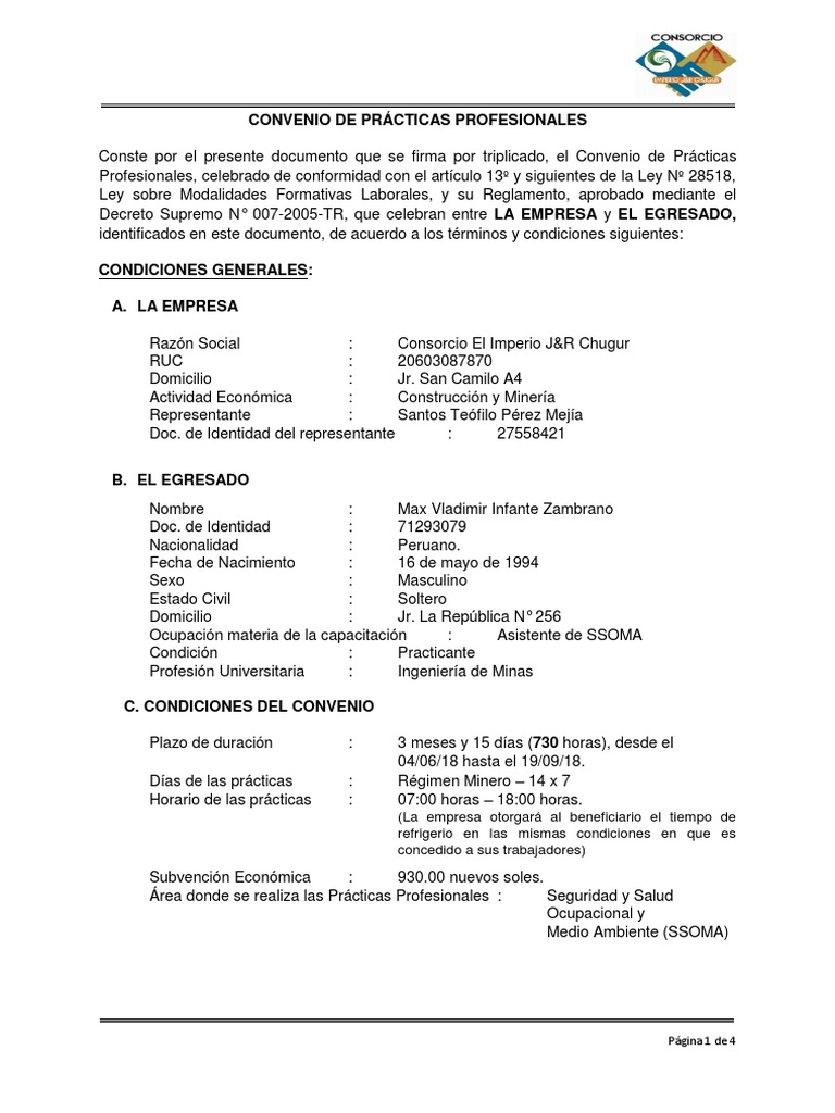 Modelo Convenio Prácticas Profesionales | PDF | Desarrollo profesional ...