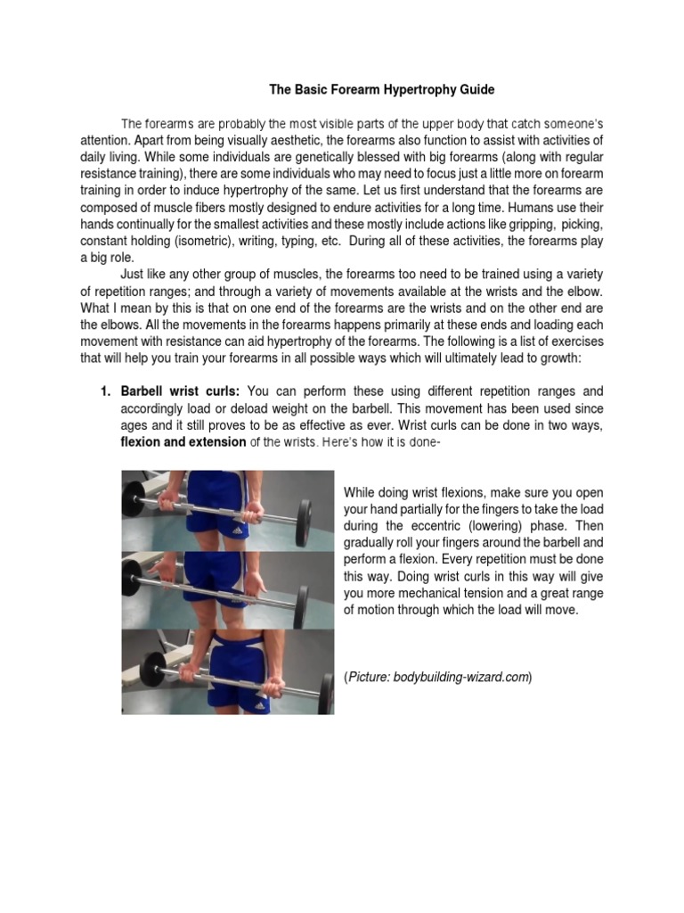 Forearm Training Guide | PDF | Elbow | Anatomical Terms Of Motion