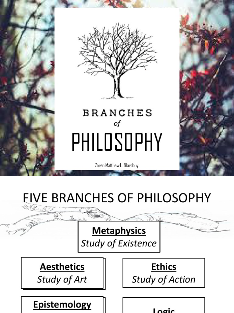 Branches of Philosophy | PDF | Epistemology | Metaphysics