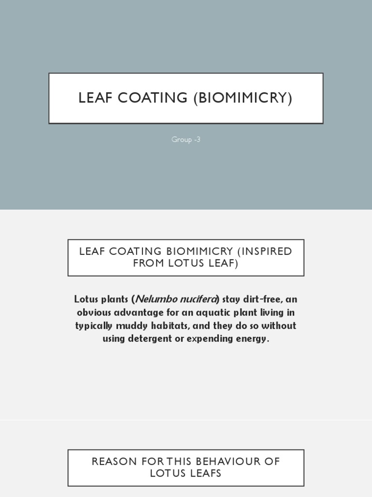 Leaf Coating (Biomimicry) : Group - 3 | PDF