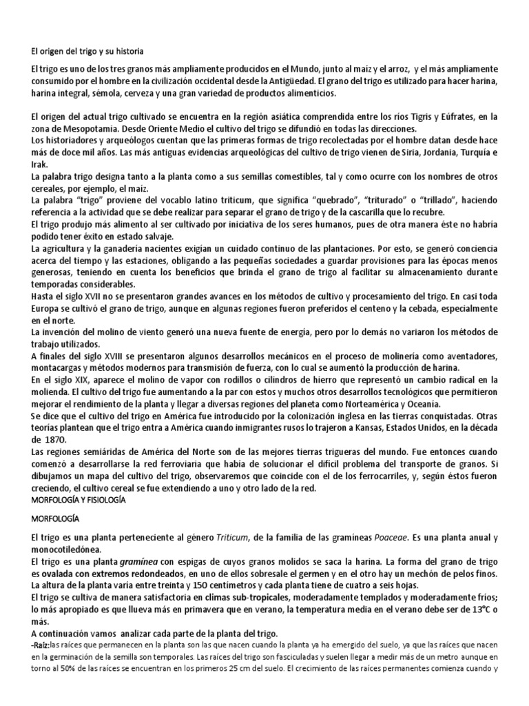 El Origen Del Trigo y Su Historia | PDF | Trigo | Siembra