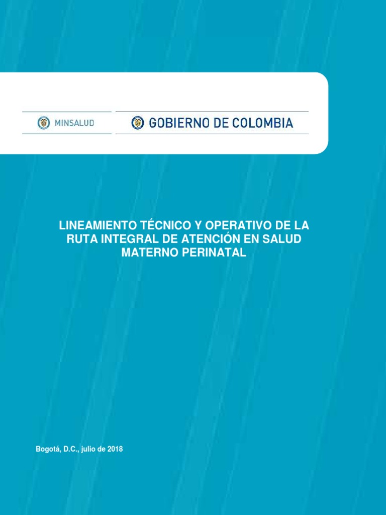 Lineamiento Ruta Materno Perinatal | PDF | Mujer | El embarazo