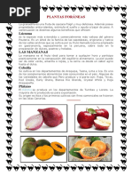 Las 6 Especies de Flora de La Costa de Perú Más Importantes | PDF ...