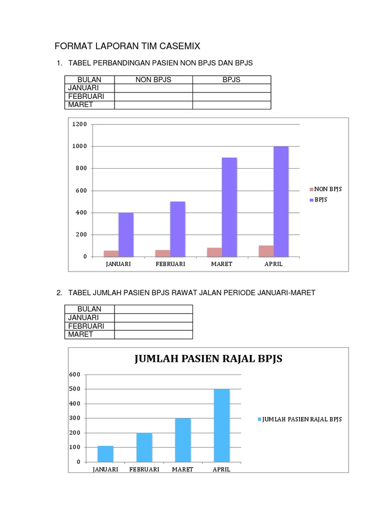 Format Laporan Tim Casemix | PDF