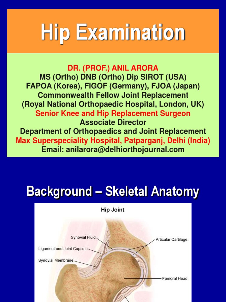 Comprehensive Hip Exam Guide | PDF | Pelvis | Anatomical Terms Of Motion