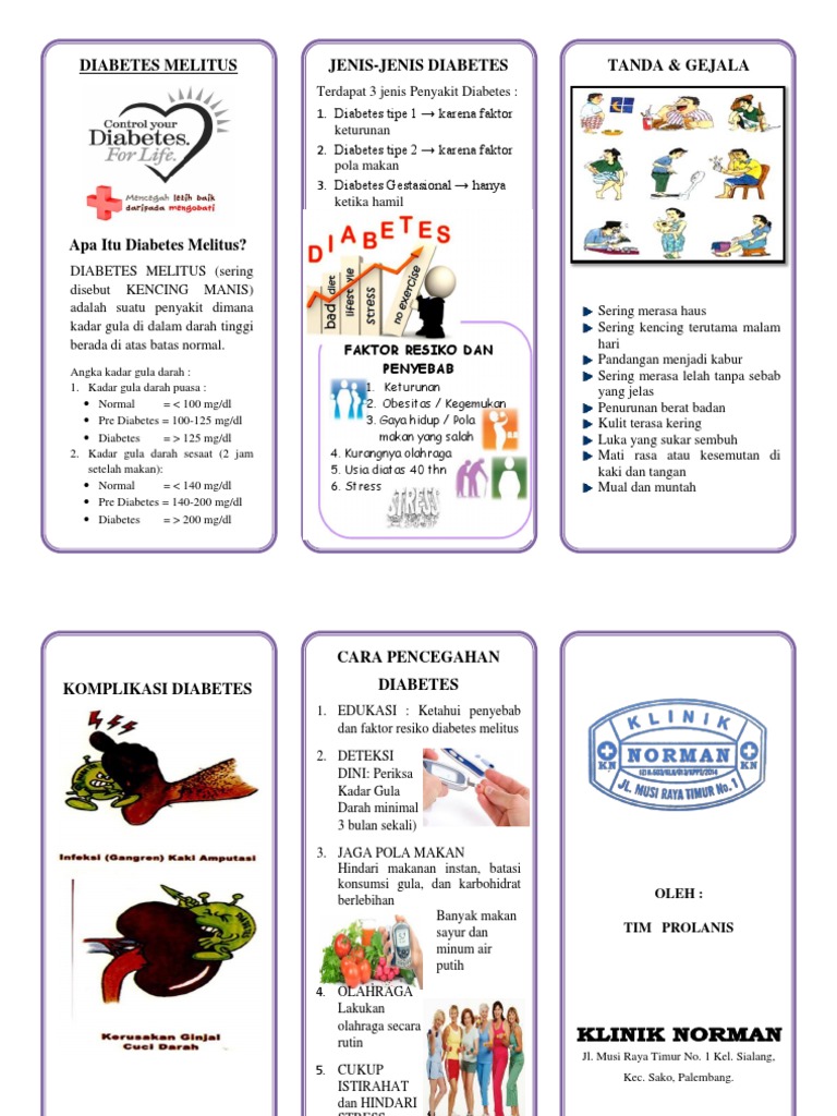 Leaflet DM Pada Lansia | PDF