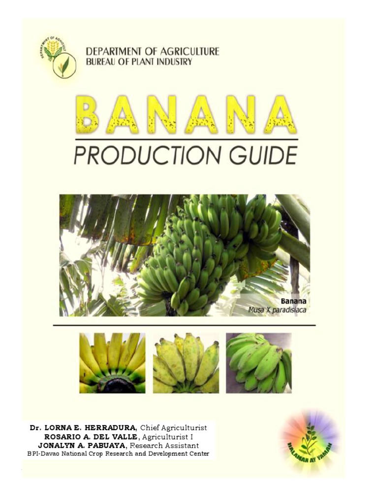 Banana Cultivation and Management Guide | PDF | Banana | Weed
