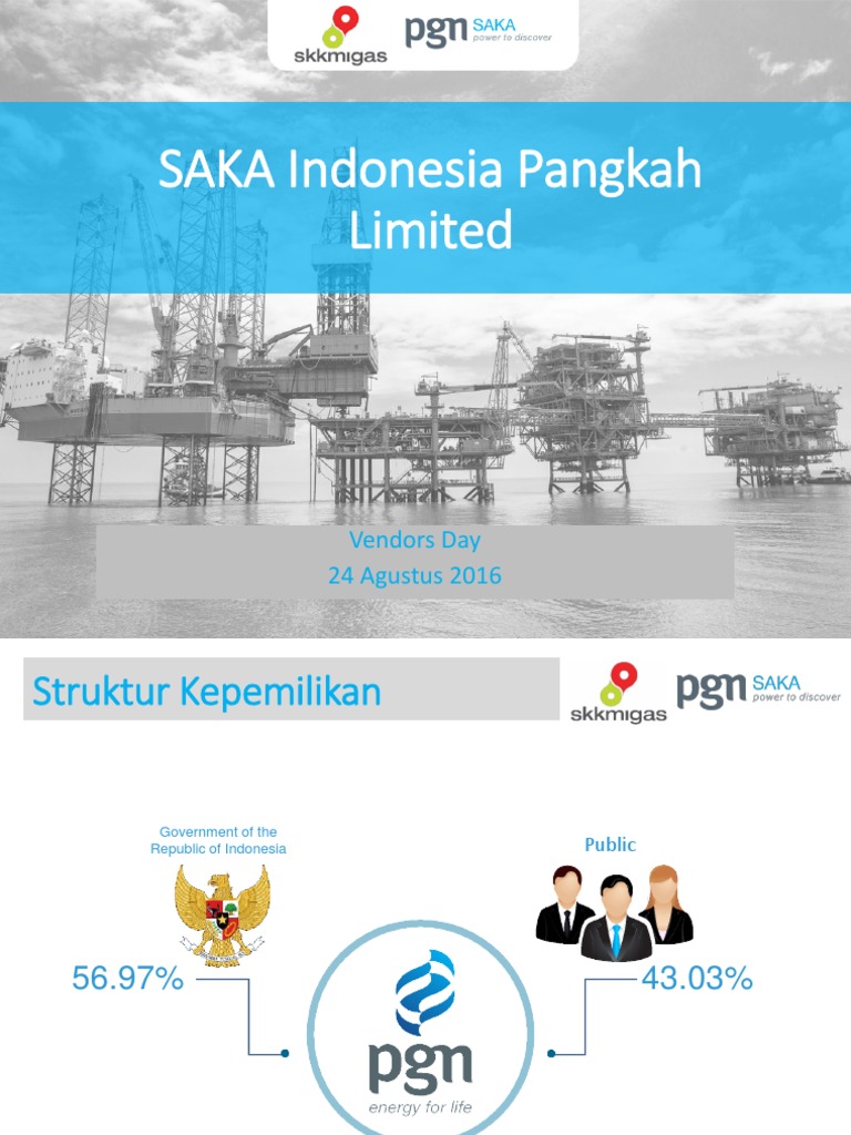 Saka - Company Profile and HSE Management System | PDF | Liquefied ...