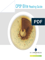 Gram Negative Rods: Oxidase Test | PDF | Gram Negative Bacteria ...