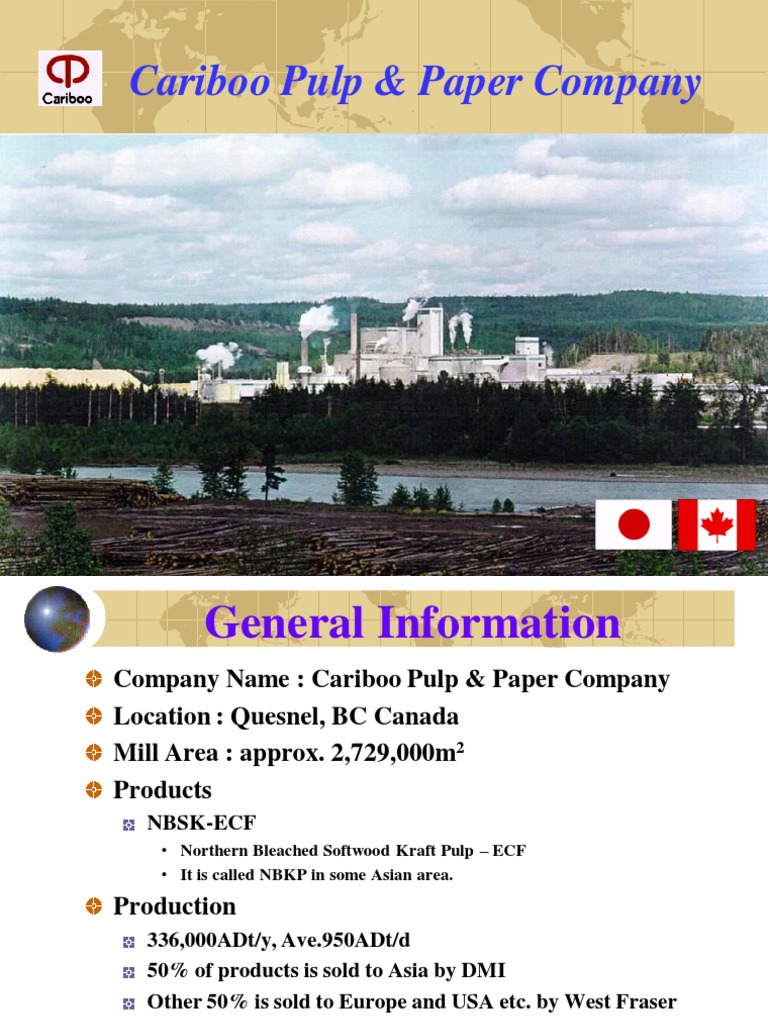 Cariboo Pulp & Paper Overview | PDF | Pulp (Paper) | Business Process
