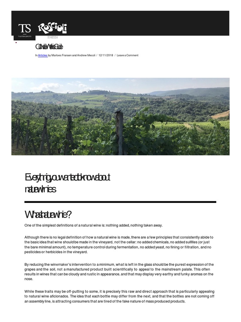 Our Natural Wine Guide | PDF | Fermentation In Winemaking | Winemaking