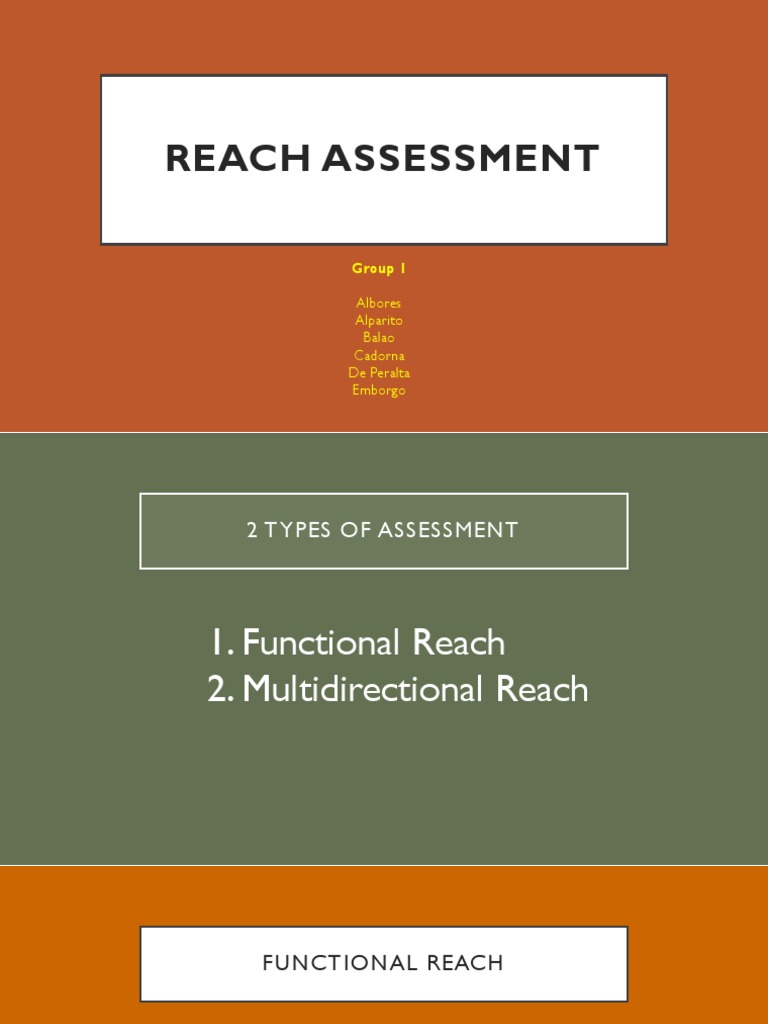 Reach Assessment | PDF | Medicine