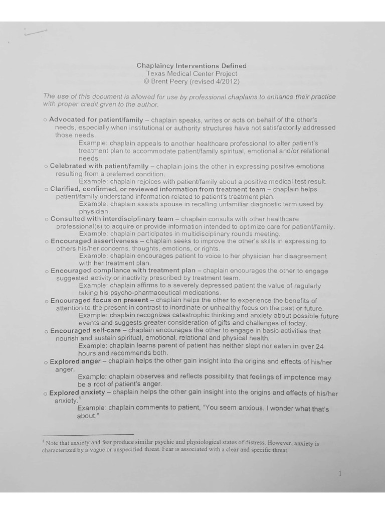 Chaplaincy Interventions Defined | PDF