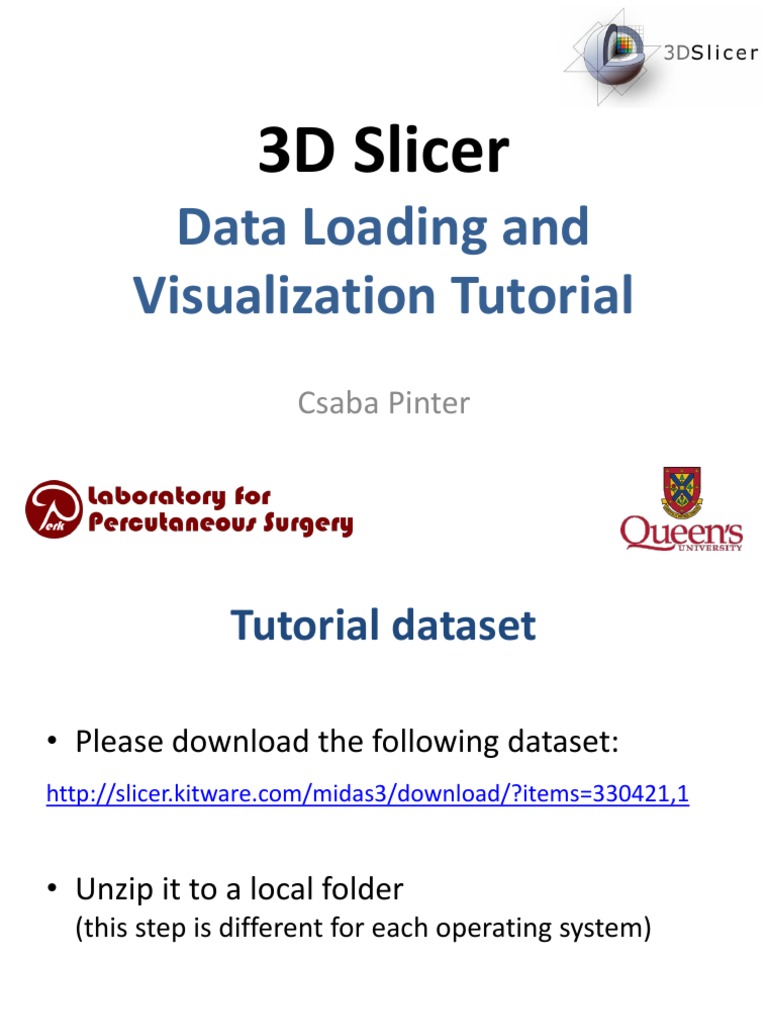 3D Slicer: Data Loading and Visualization Tutorial | PDF | Icon ...