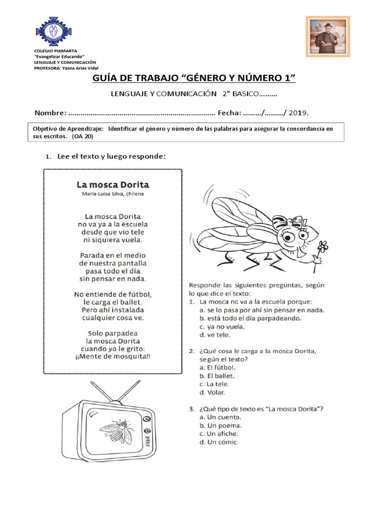 Guía Género y Numero 1 | PDF | Artes del Lenguaje y Comunicación ...