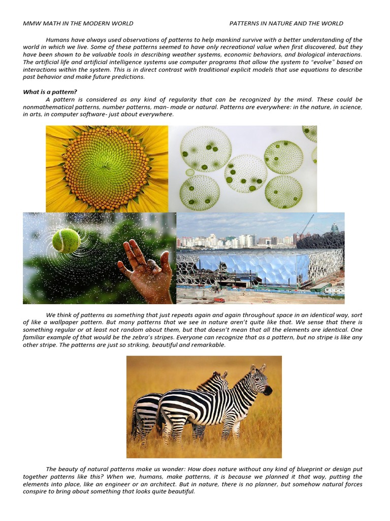 2 Patterns MMW | Pattern | Science