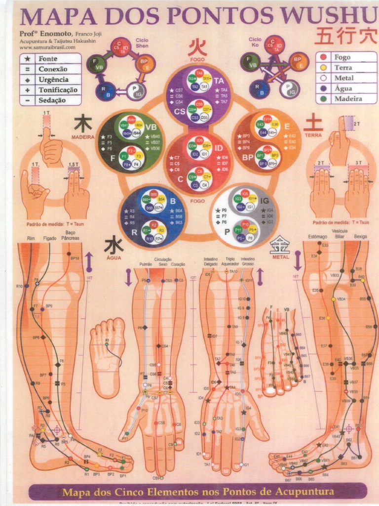Mapas Acupuntura PDF | PDF