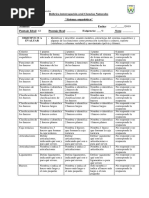 Prueba Gramatica Lenguaje - Verbos y Adverbios | PDF | Verbo ...