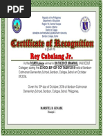 BSP Certificate | PDF | Scouting | Philippines