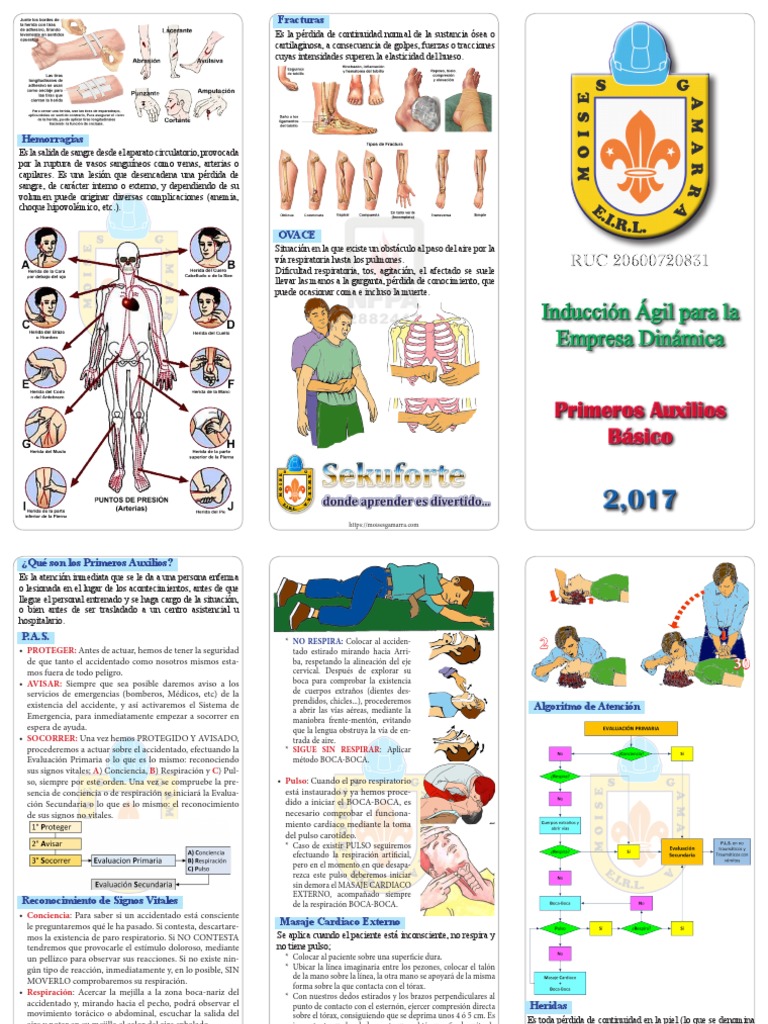 Triptico - Primeros Auxilios Basico | PDF | Tórax | Especialidades Medicas