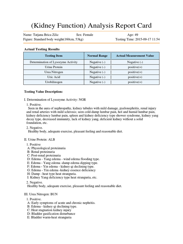 Kidney Function | PDF | Kidney Disease | Kidney