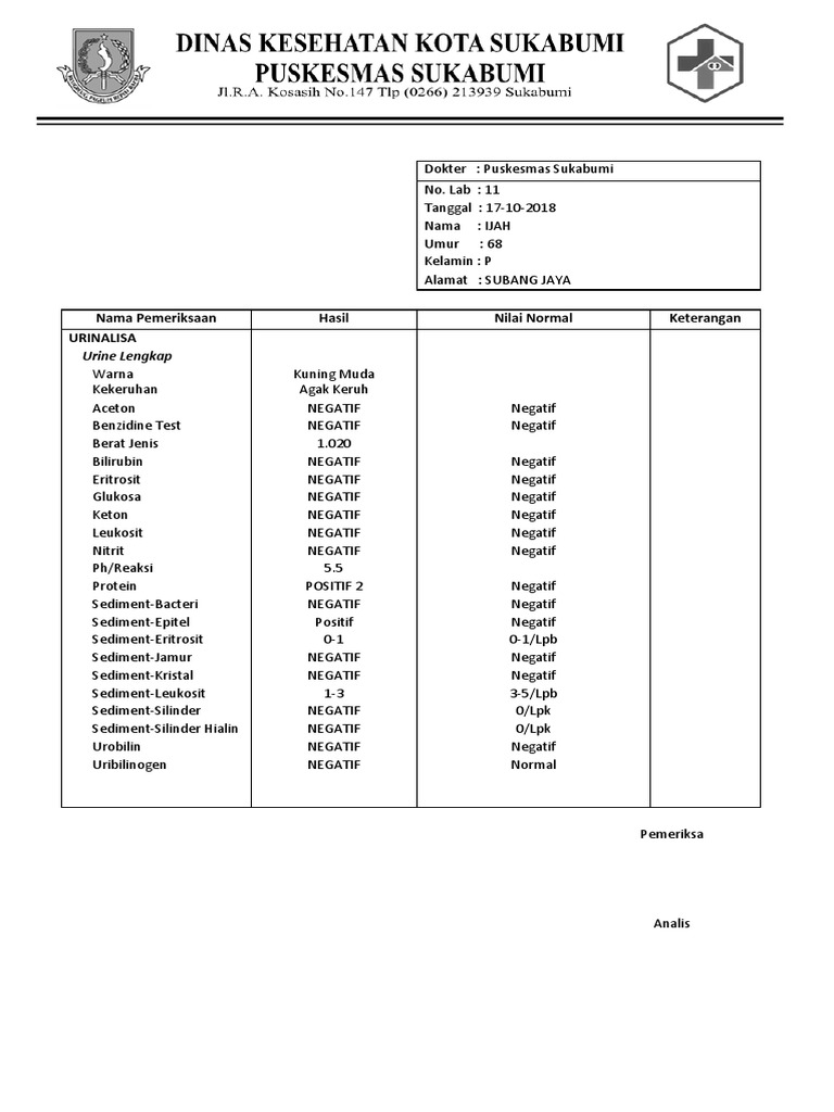 Hasil Lab Urin Manual | PDF