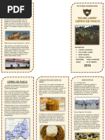 Triptico de Pasco | PDF | Alimentos | Naturaleza