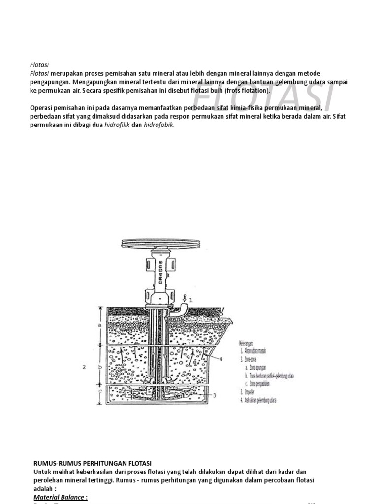 Flotasi | PDF
