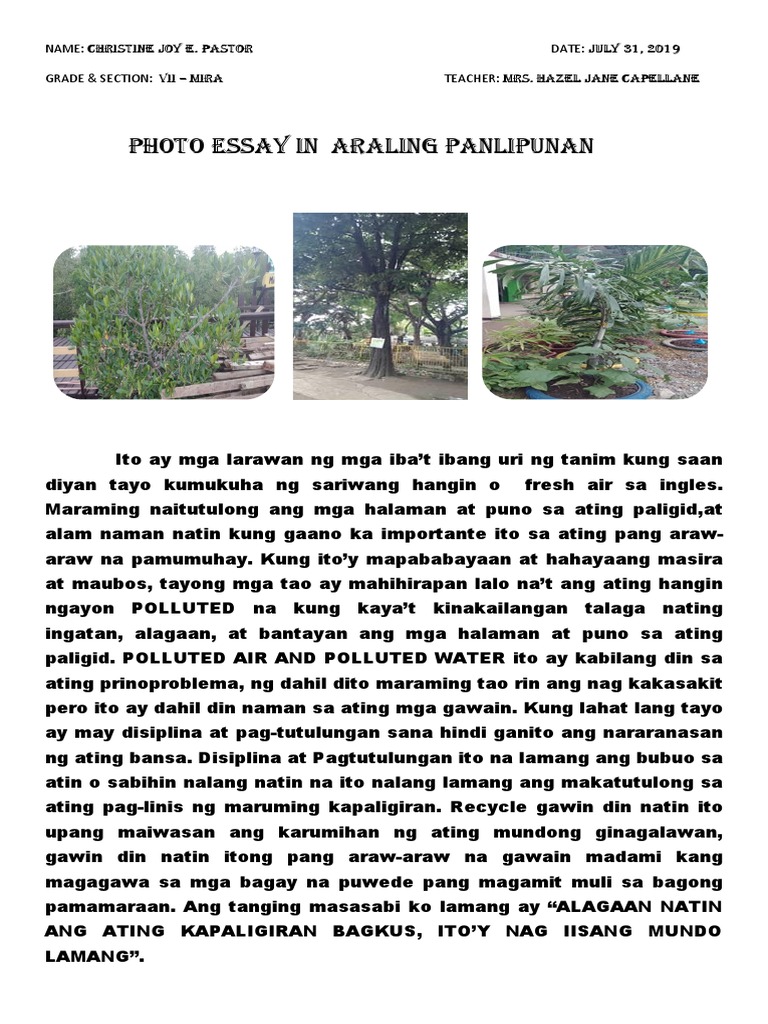 Photo Essay in Araling Panlipunan | PDF