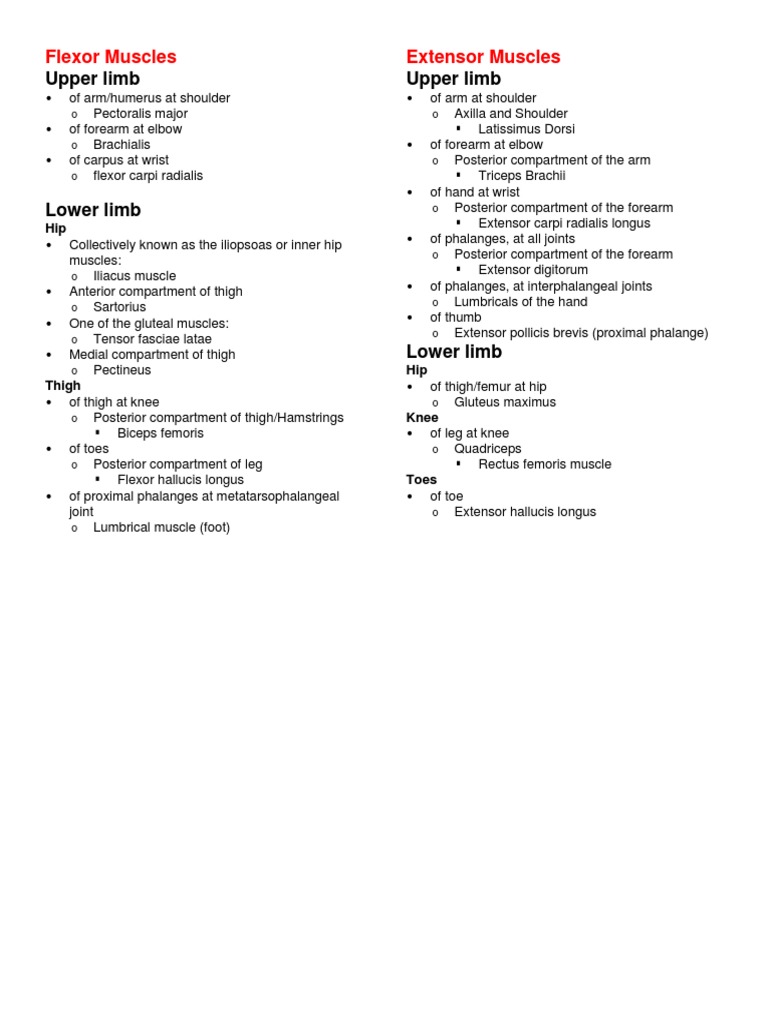 Flexor and Extensor Muscles Overview | PDF | Foreign Language Studies
