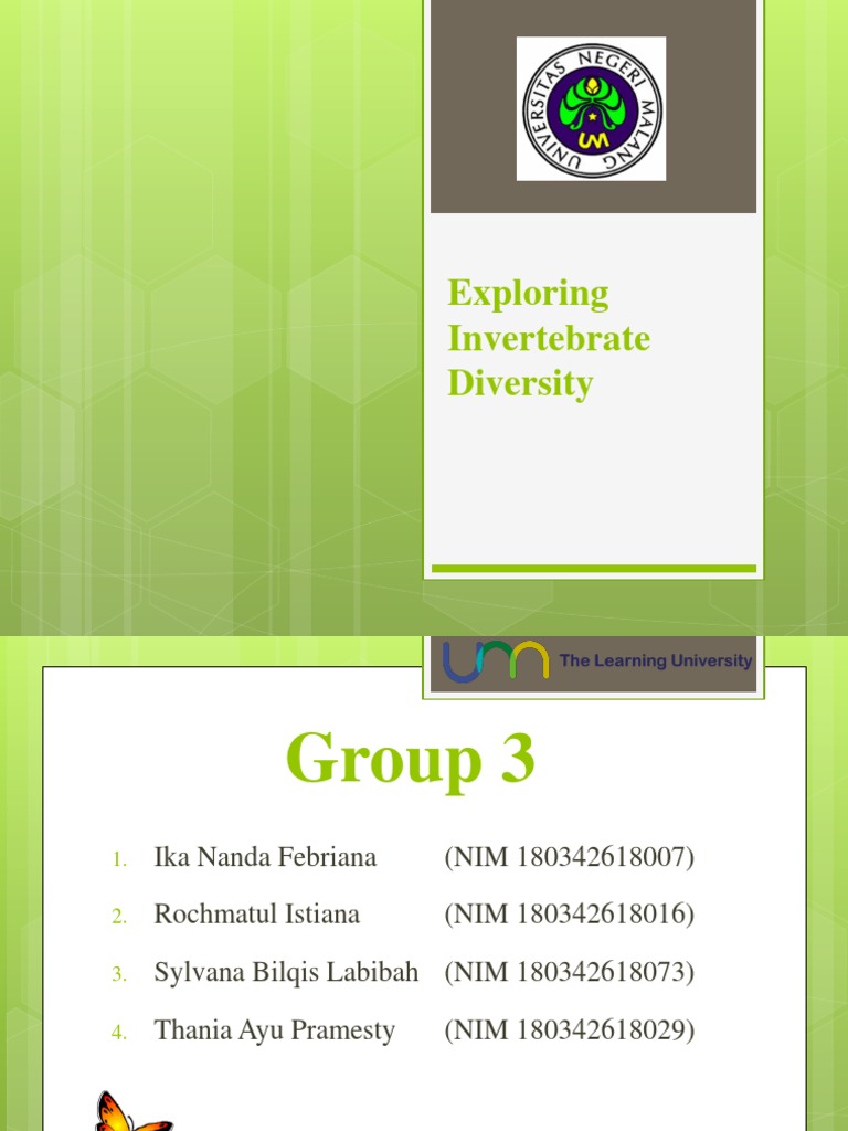 Invertebrate Diversity and Classification | PDF | Invertebrate | Organisms