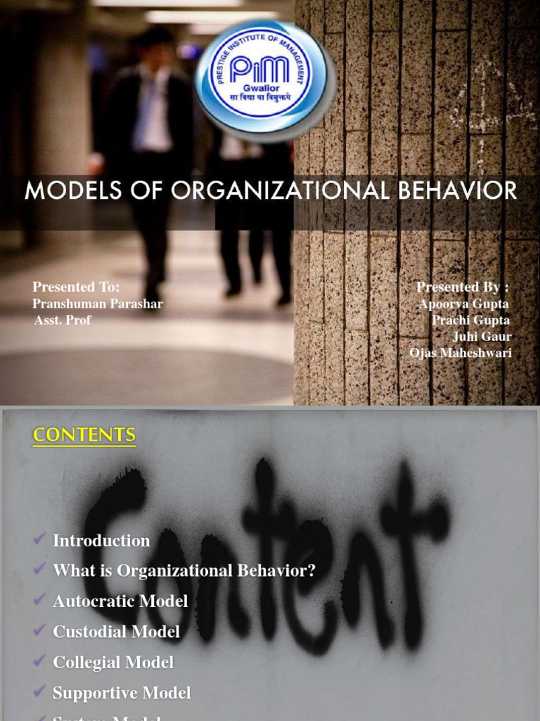 Models of OB | PDF | Organizational Behavior | Emergence