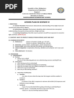 Effects of the Sun: Grade 4 Lesson Plan | PDF | Sunscreen | Plants