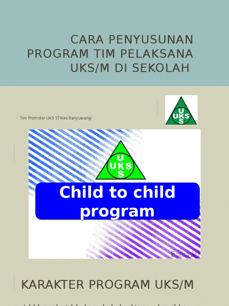 Cara Penyusunan Program Tim Pelaksana UKS | PDF