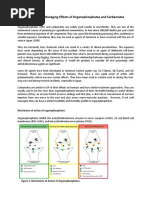 Cyanmethemoglobin Method for Hb Estimation | PDF | Hemoglobin | Anemia
