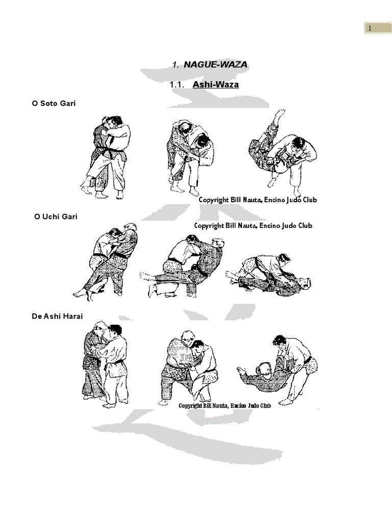 Judo Throw Techniques Guide | PDF