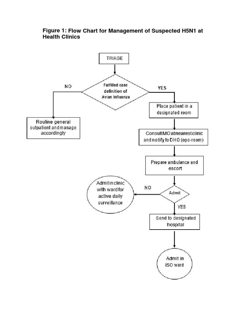 H5N1 Management Flow Chart | PDF