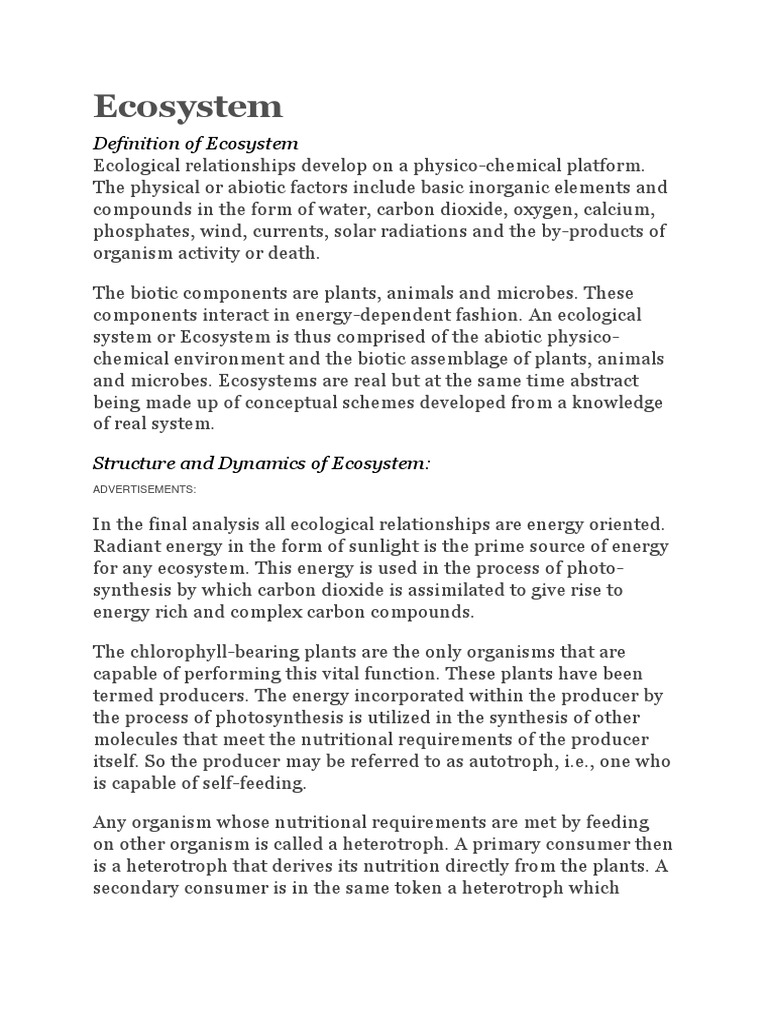 Ecosystem | PDF | Ecosystem | Food Web