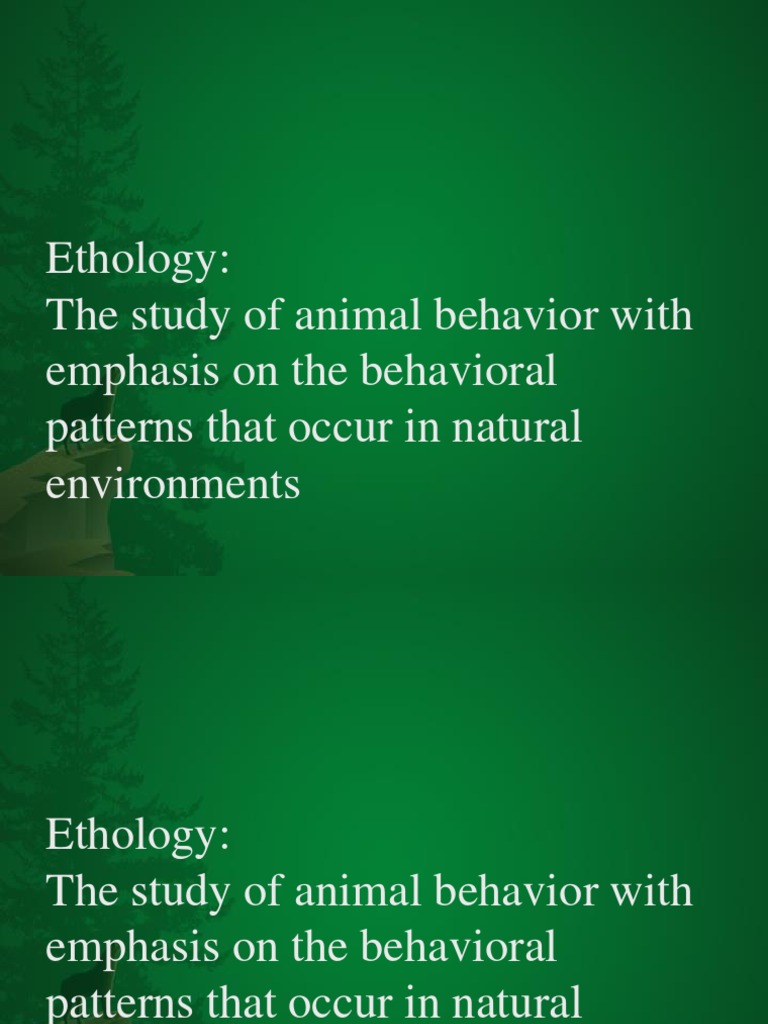 Ethology: The Study of Animal Behavior With Emphasis On The Behavioral ...