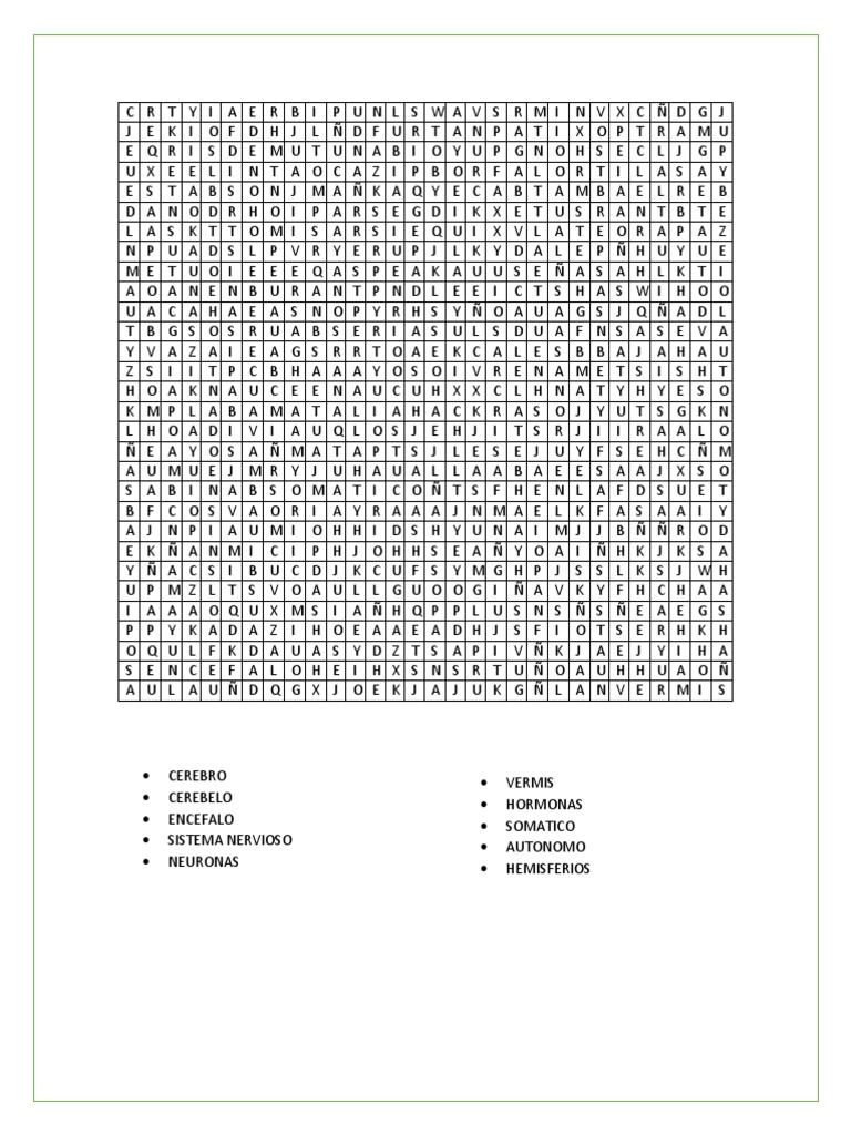 Sopa de Letras: Sistema Nervioso | PDF | Cerebro | Anatomia animal