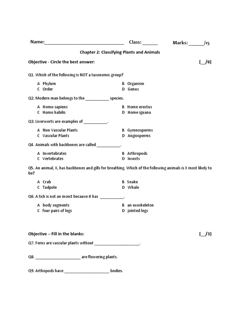 Classifying Plants and Animals | PDF | Homo | Invertebrate