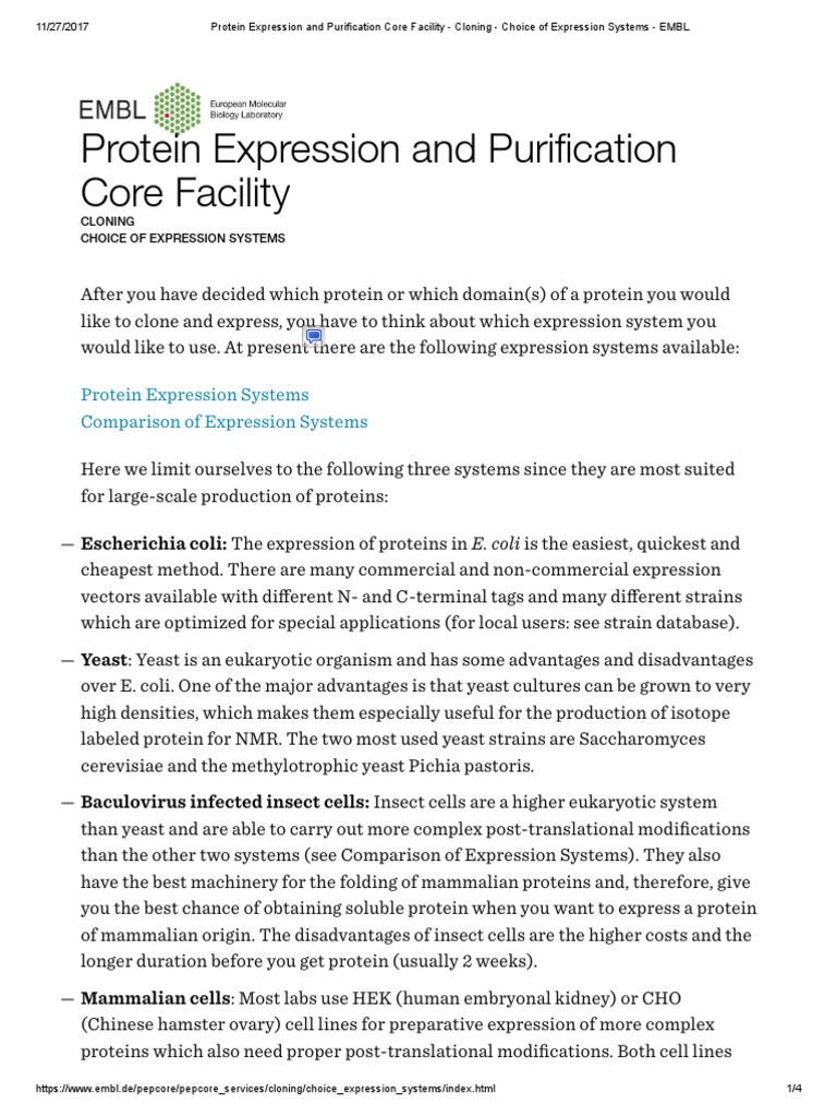 EMBL Protein Expression Systems Guide | PDF | Genetic Code | Gene ...