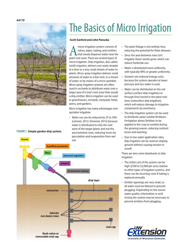 Basics of Micro Irrigation | PDF | Irrigation | Pipe (Fluid Conveyance)