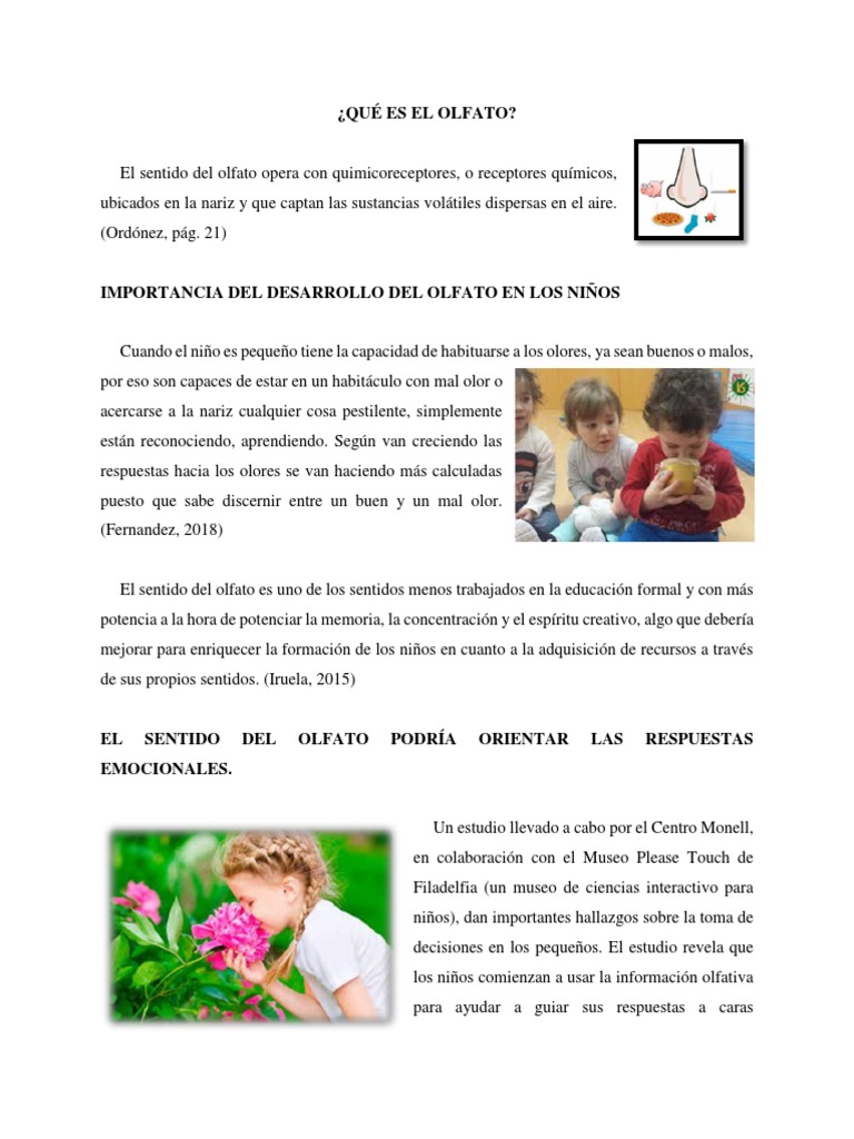 Importancia del Olfato en Niños | PDF | Olfato | Olor