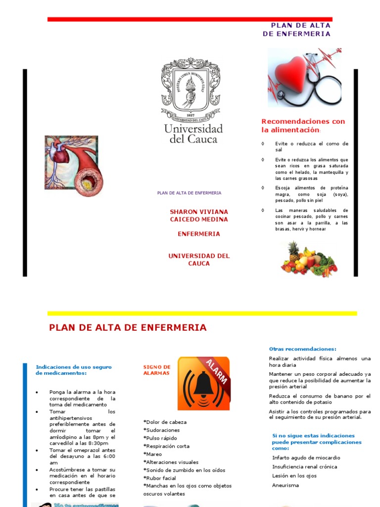Plan de Alta Enfermeria | PDF | Comida y bebida | Medicina CLINICA
