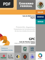 GPC - Corioamnionitis | PDF | Partería | Parto